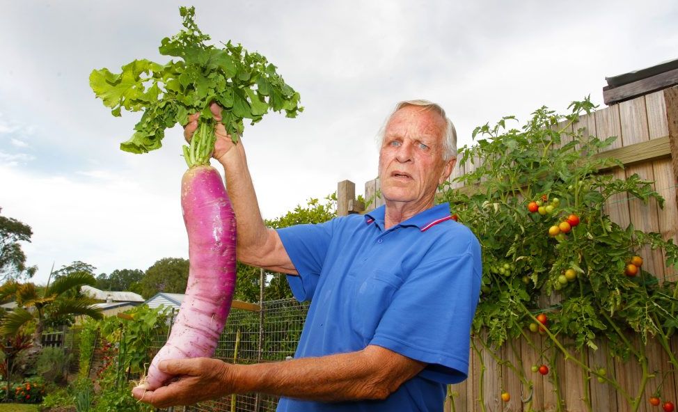 TIL If your partner committed adultery in Ancient Rome, you could ...